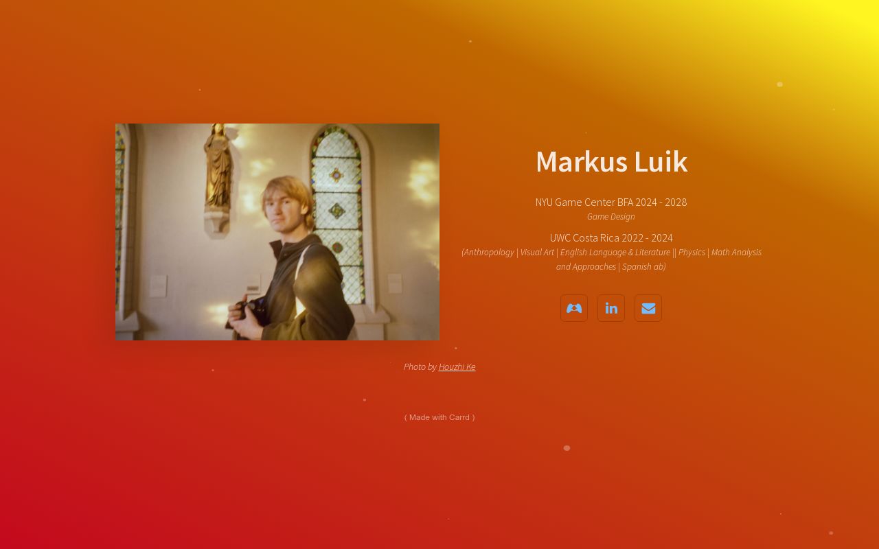 Markus Luik - profile